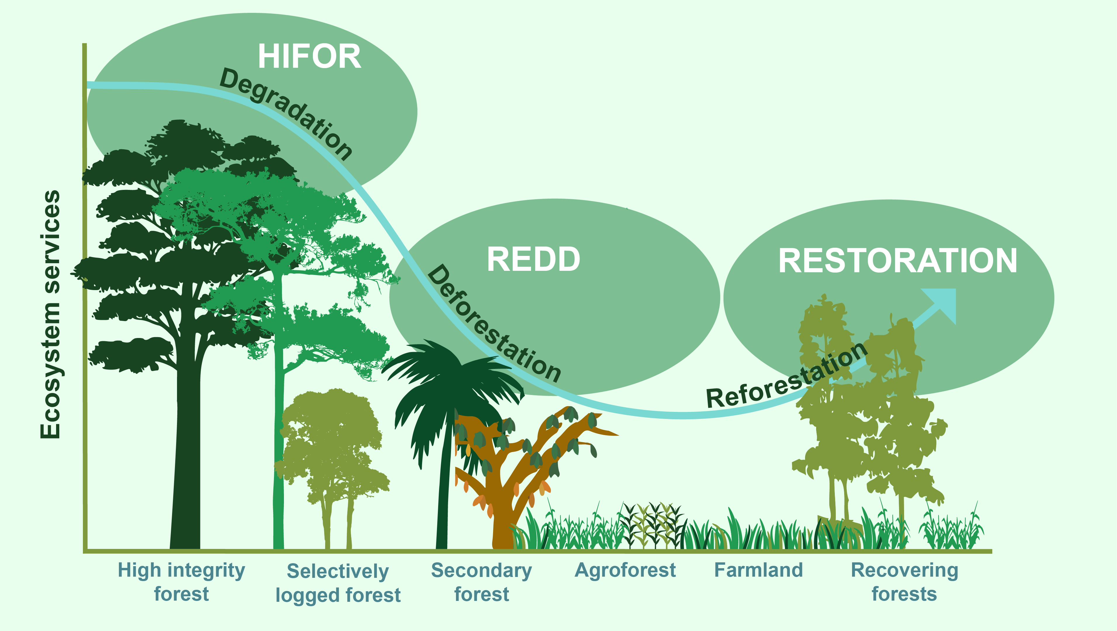 Project: Climate Focus – Sara L. Cottle